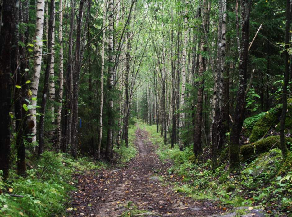 Sappee-Särkijärvi | Laipanmaa